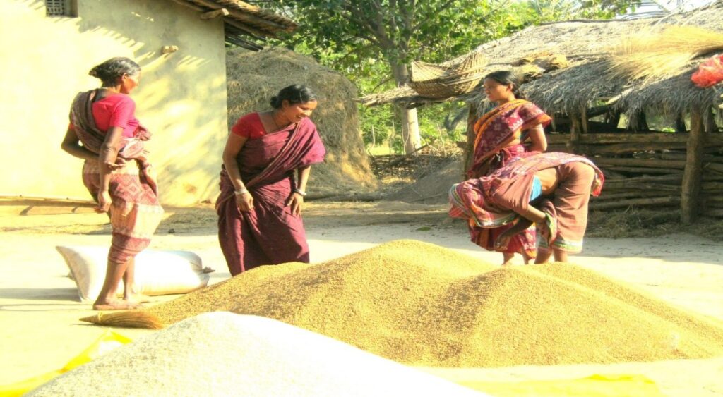 AGGA Model – AJSA India